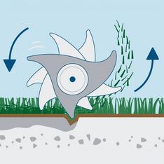 How to scarify your lawn: tips & guide