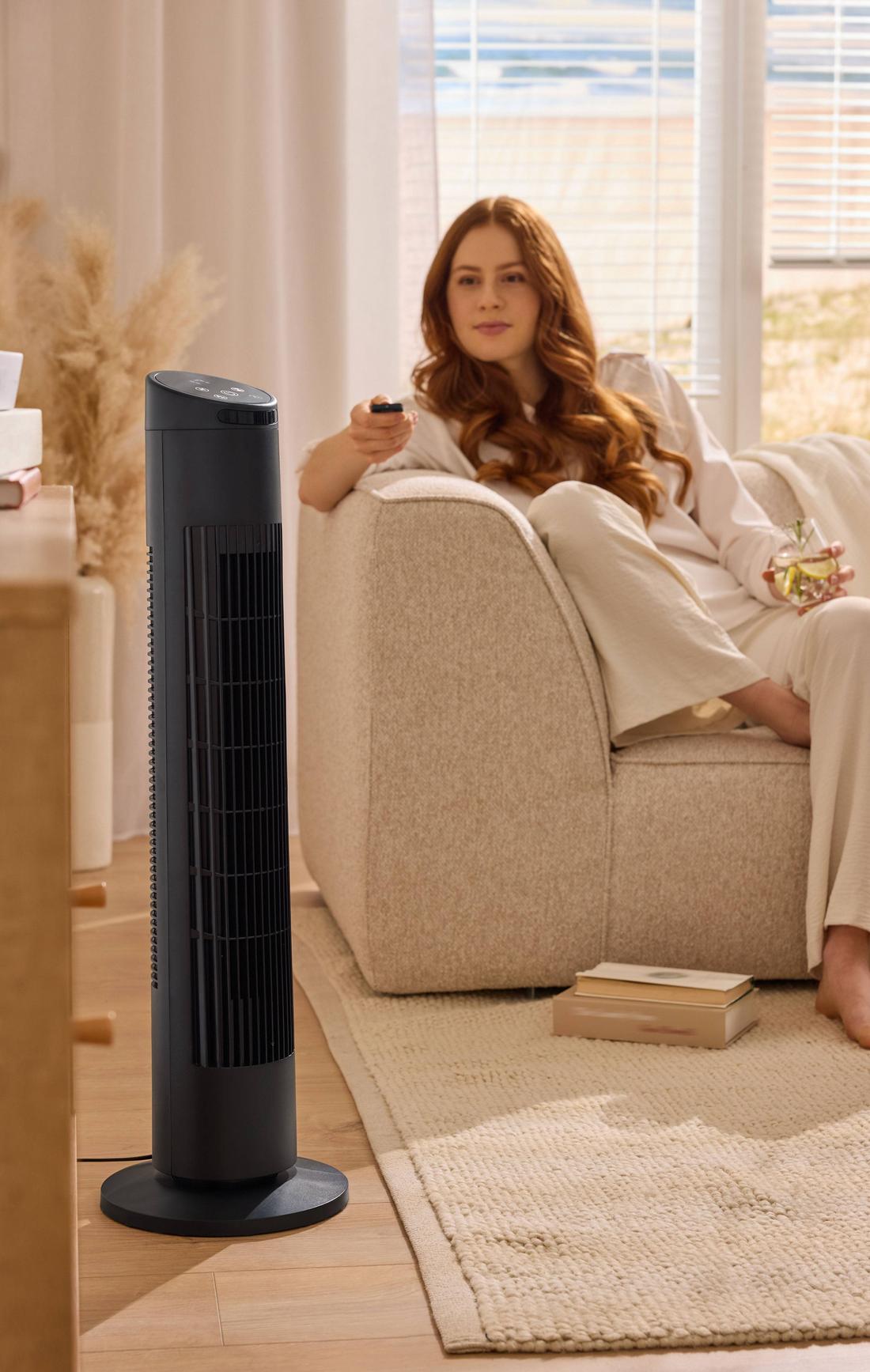 Fan and air conditioner